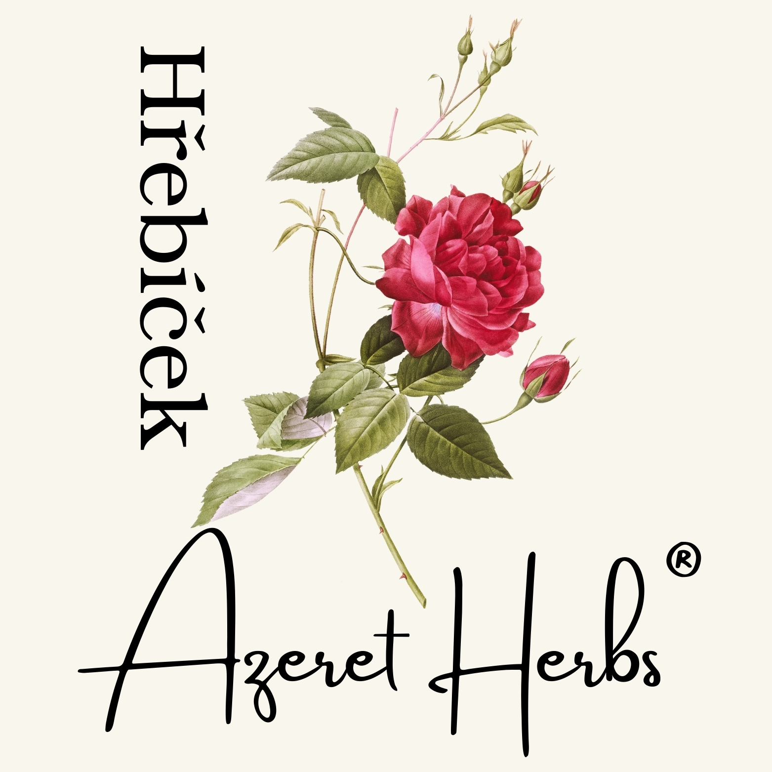 Hřebíček (Eugenia Caryophyllus) :: Azeret Herbs - Dary přírody